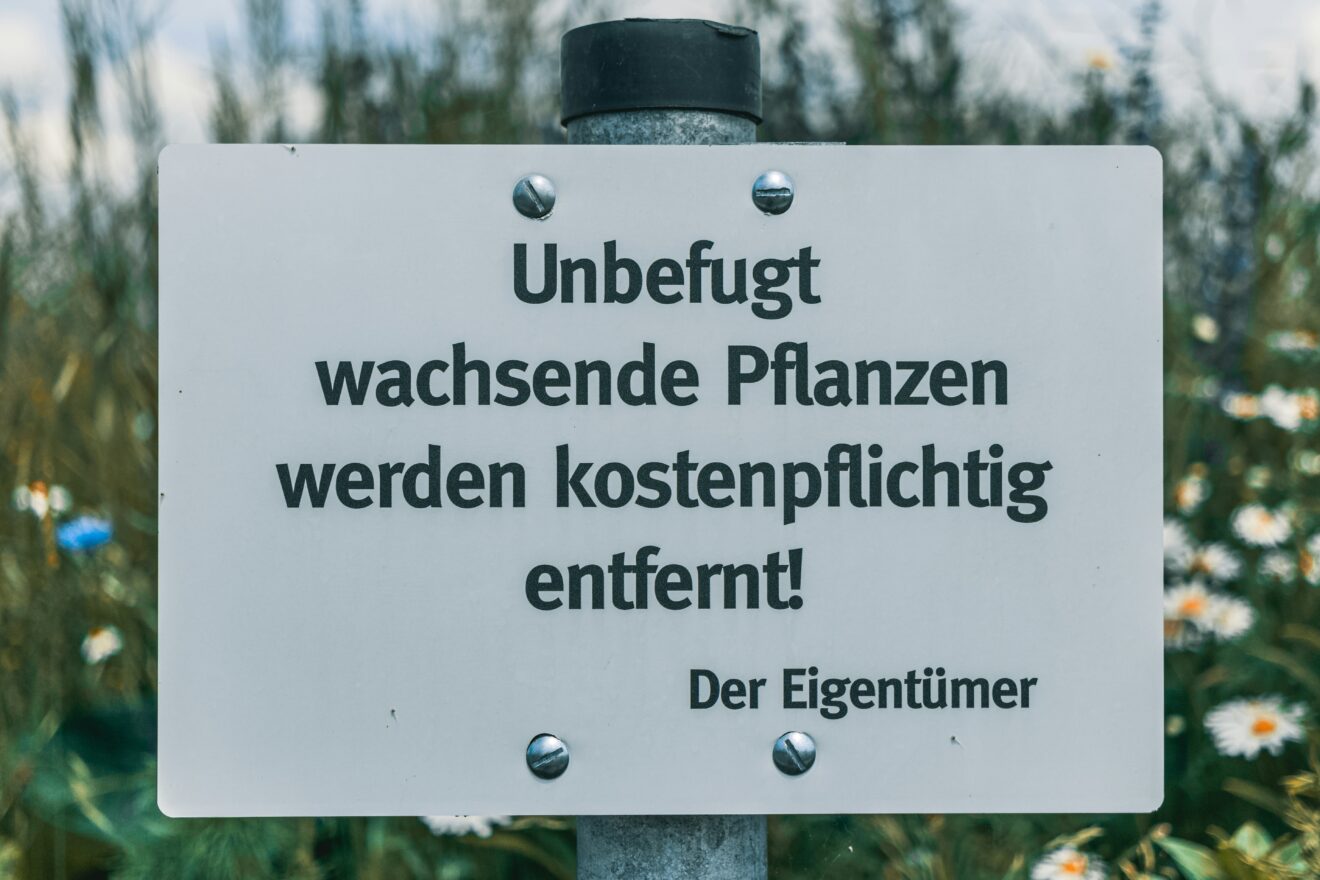 800 Most Common German Words and How to Use Them (The Only Resource You ...